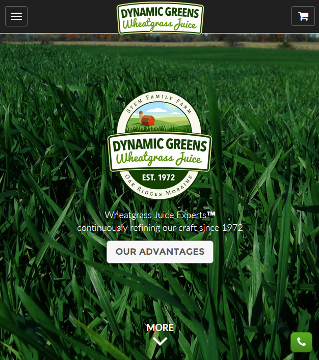 Archives | Dynamic Greens Wheatgrass Juice