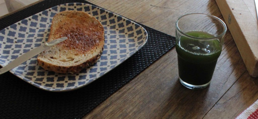 Wheatgrass Facts And FAQ