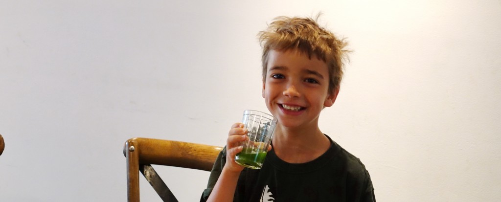 Wheatgrass Juice | Field Grown Quality | Flash Frozen