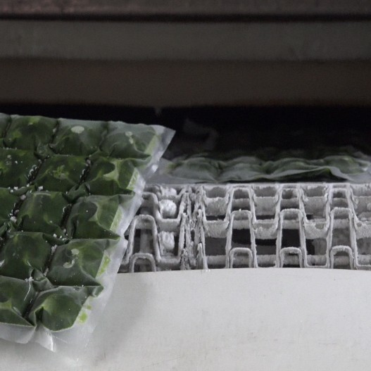 DynamicGreens Site Map