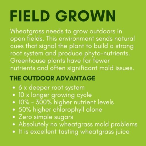 How To Use Your Juice | Dynamic Greens Wheatgrass Juice