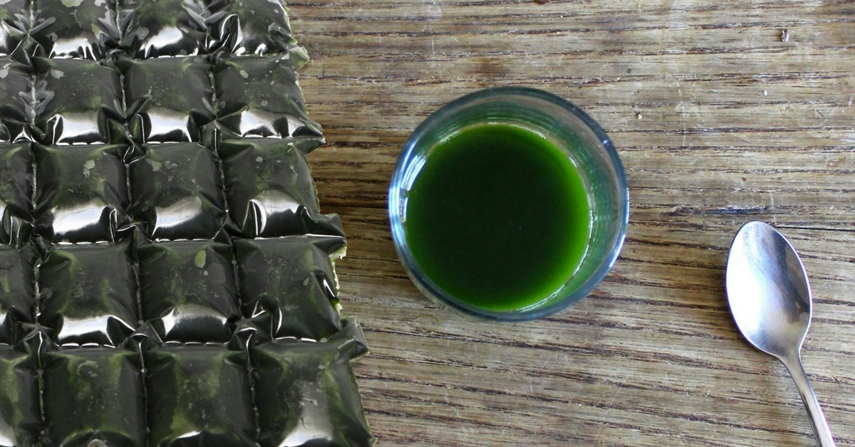 Buy Frozen Wheatgrass Juice in Bloomington, CA | Dynamic Greens ...